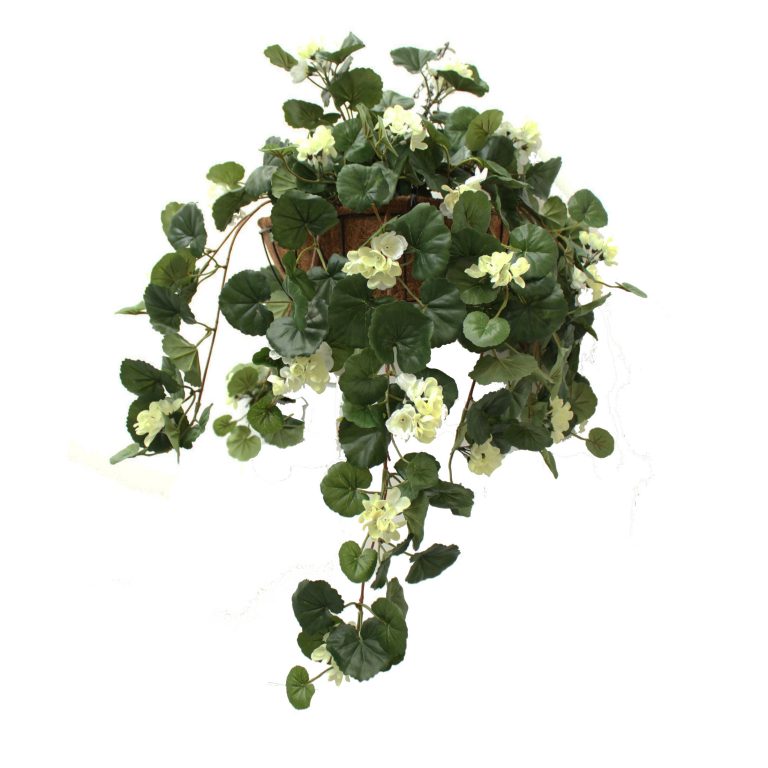 Artificial Cream Geranium Vine in Hanging Basket | Artificial Plants Online