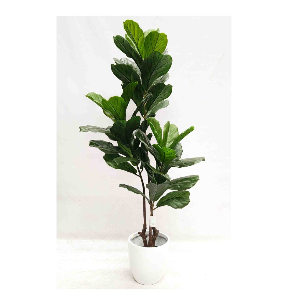 Artificial Triple Stem Fiddle Leaf Fig Tree 1.6m UV Stabilised